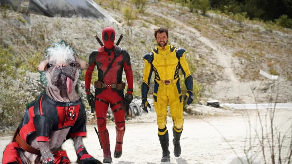Ryan Reynolds provides first look at Dogpool and confirms Deadpool 3 ...